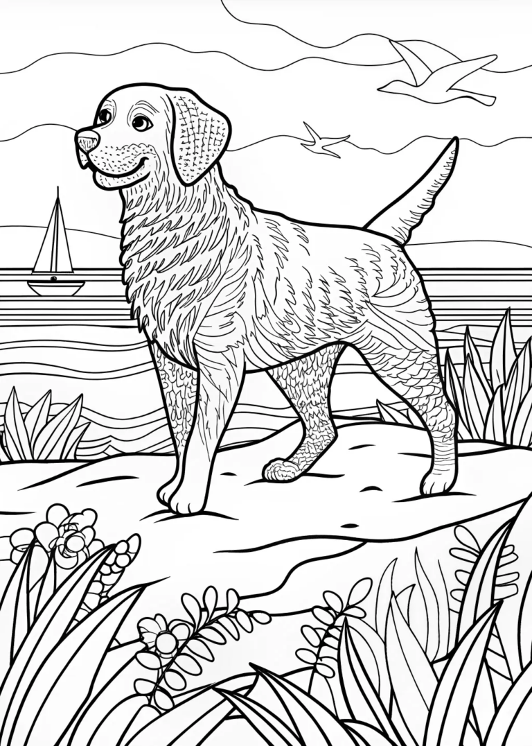 Cheasapeake Bay Retriever Coloring Page - Free & Printable