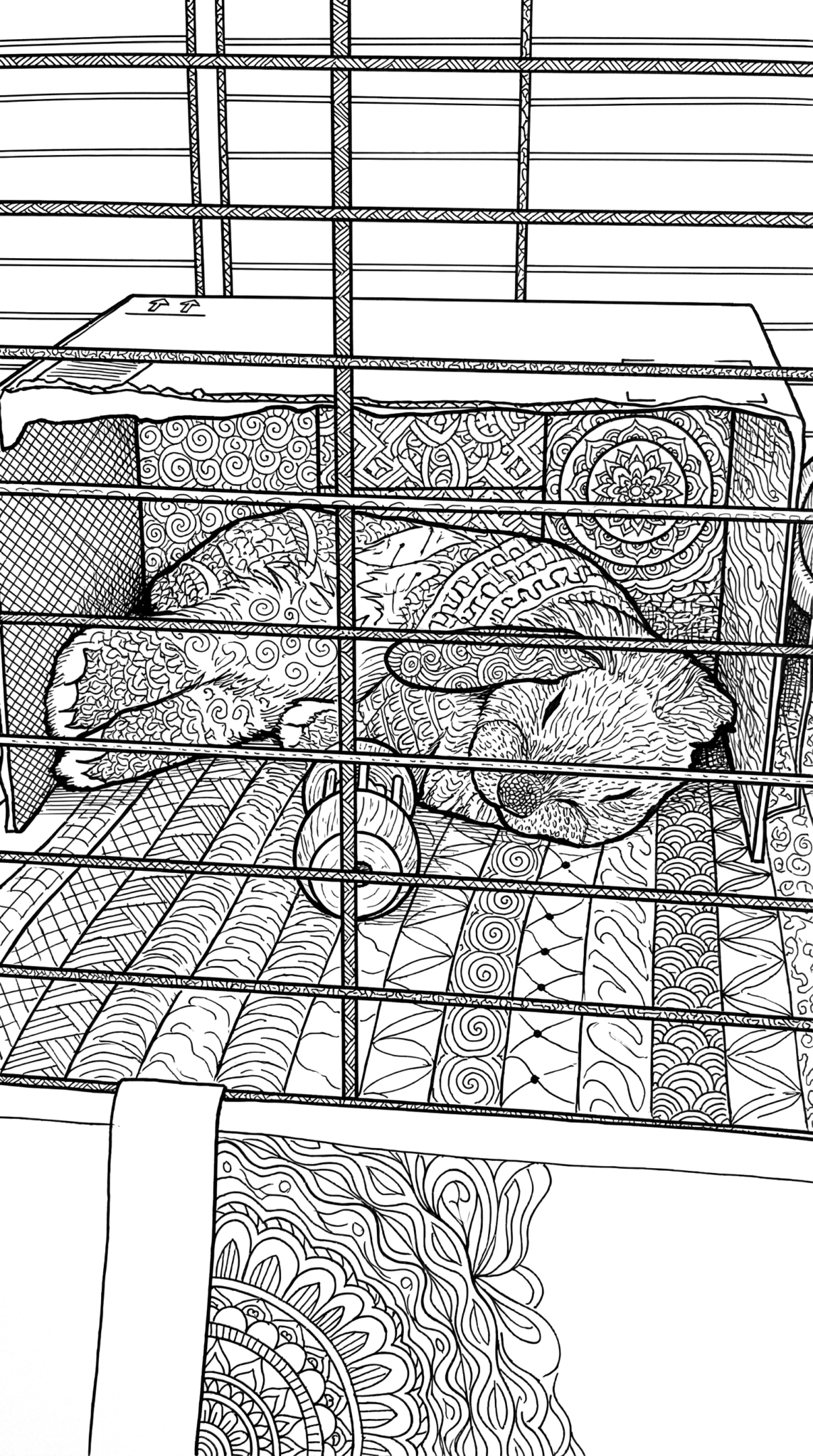 New Photo Style: Zendoodle