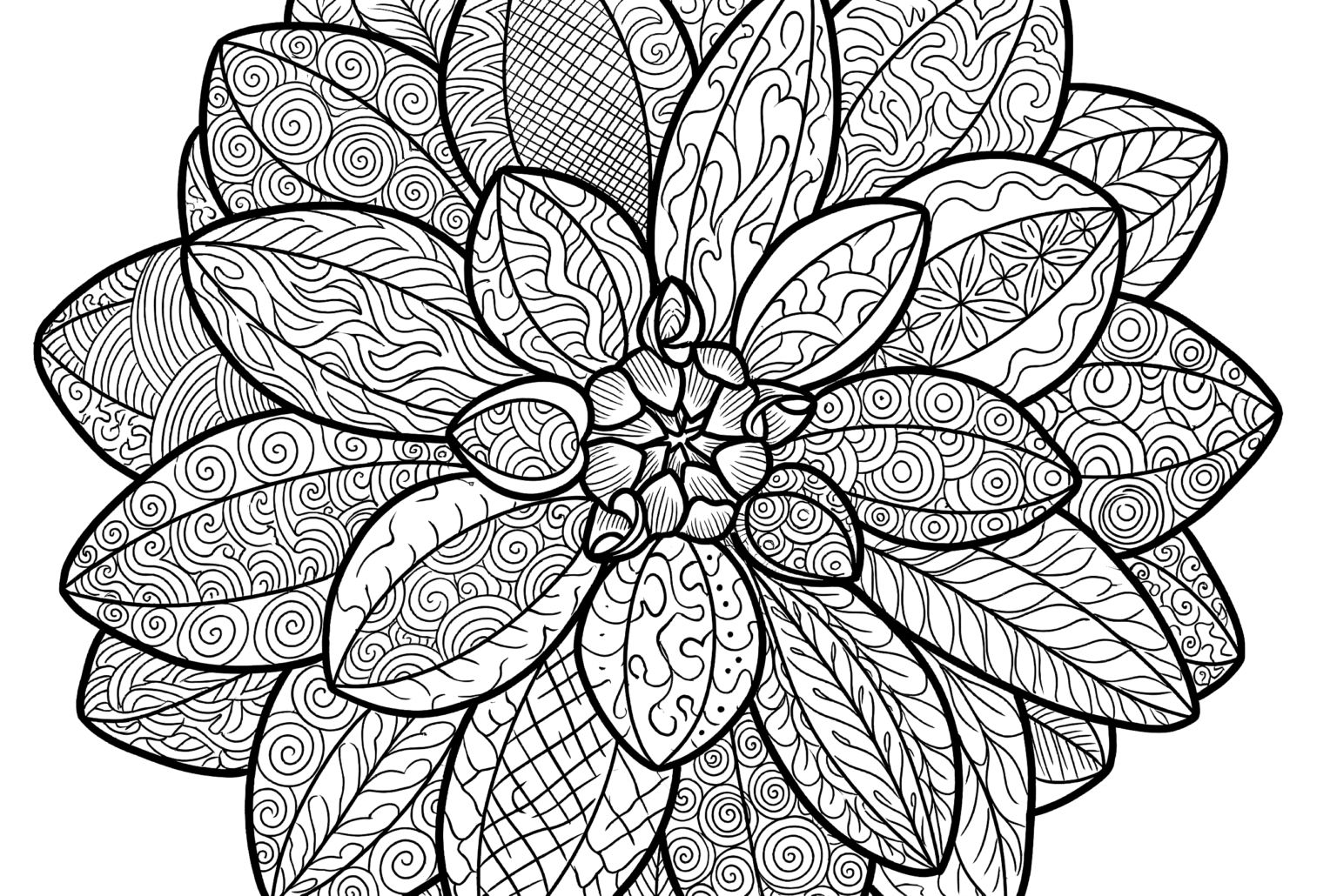 New Photo Style: Zendoodle